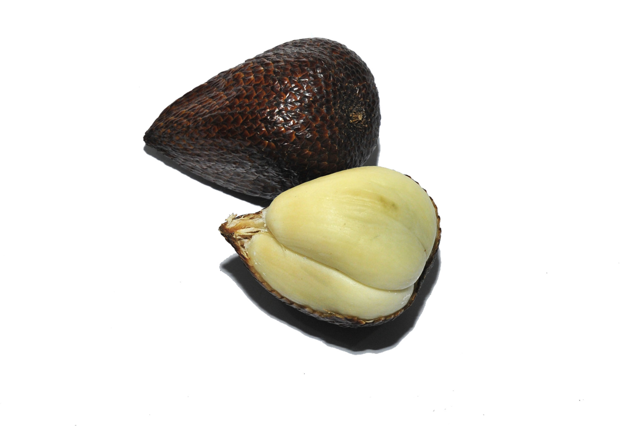 Photo of fruit: Salacca zalacca - GlobinMed