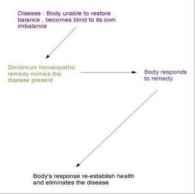 Basic Principles in Homeopathic Practice – GlobinMed