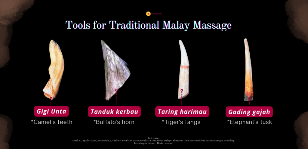 Traditional Malay Massage - GlobinMed