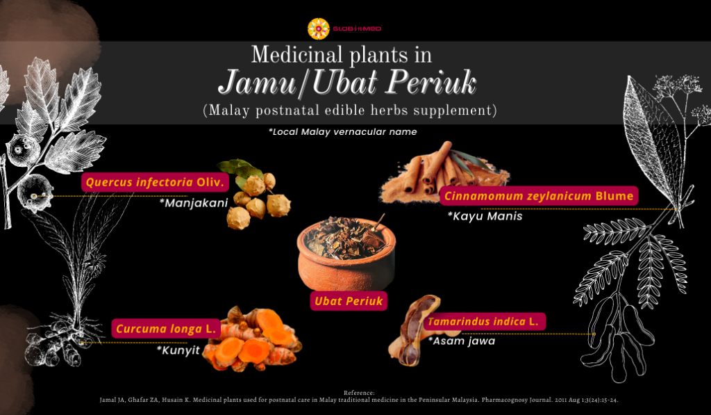 Traditional Malay Postnatal Care – GlobinMed
